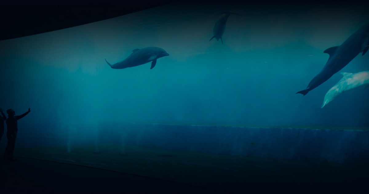 Acquario di Genova, The Largest Aquarium in Europe